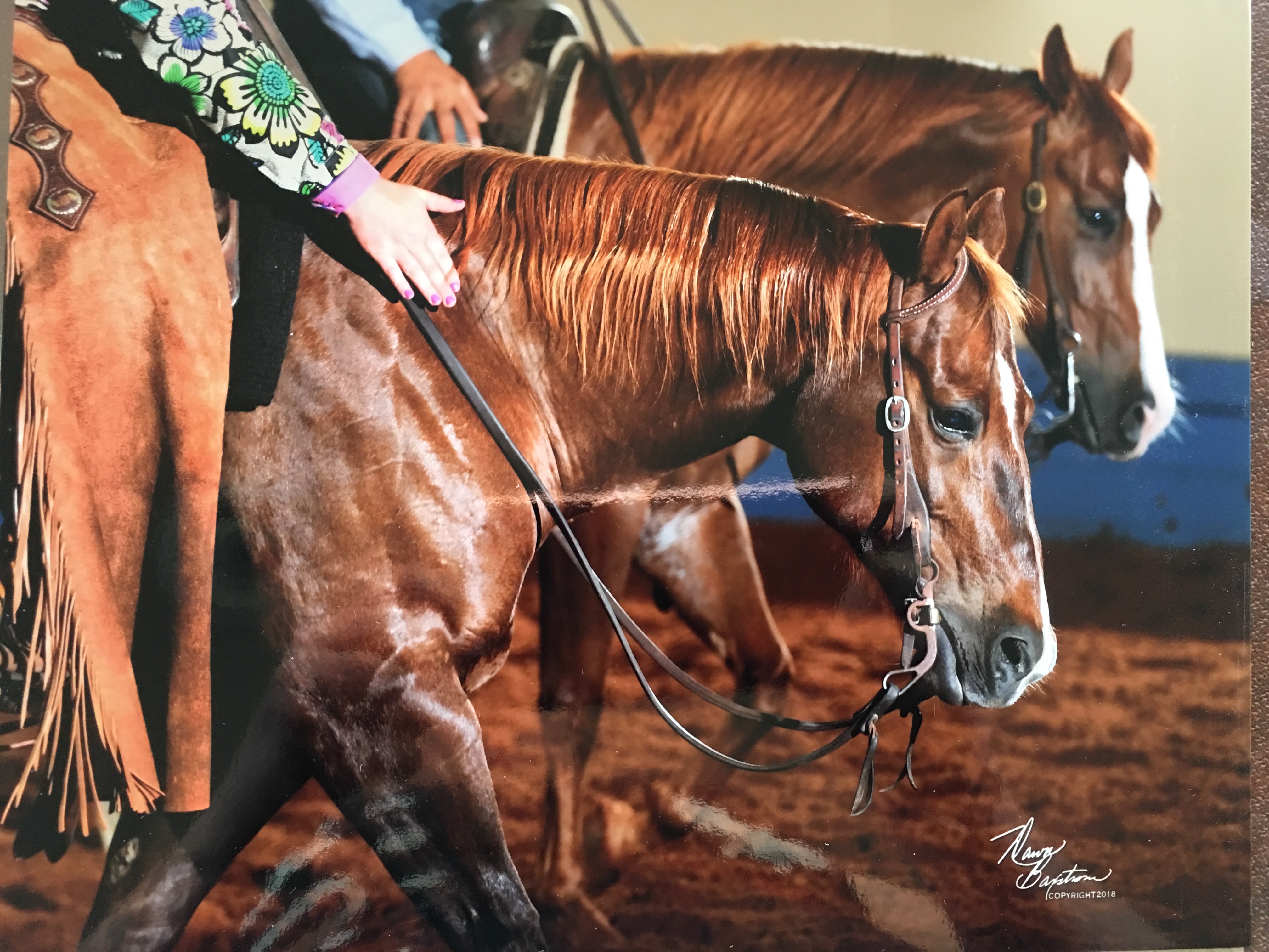 BN Heaven Cutting Horse Ranch in Weatherford, TX